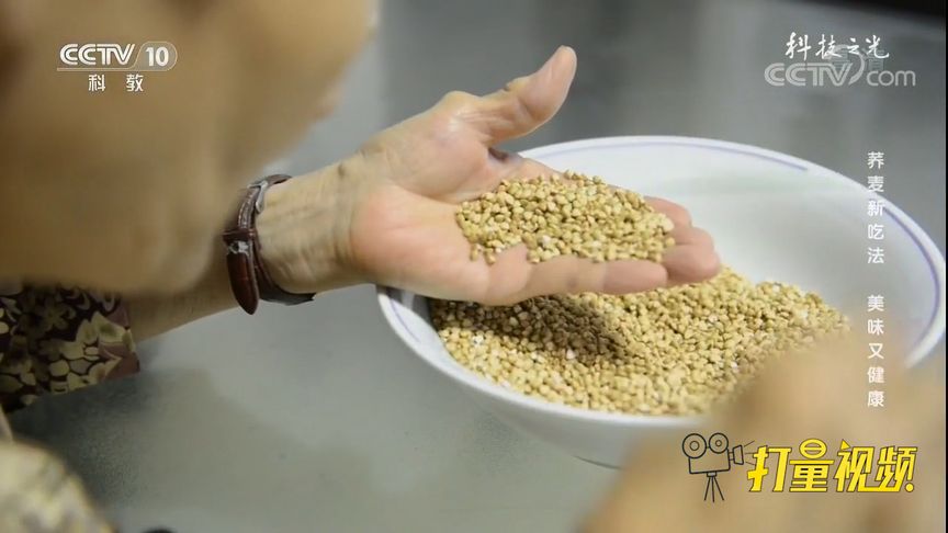 吃了荞麦之后胃不舒服？听专家讲解其中原因与正确吃法|科技之光