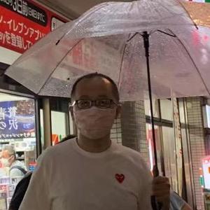 东京霸天楠 
