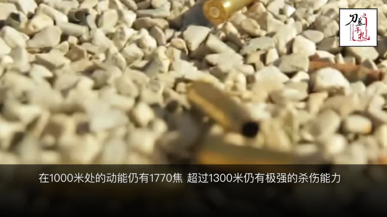 军用的叫AWM,警用的叫AWP,其实都是一把枪