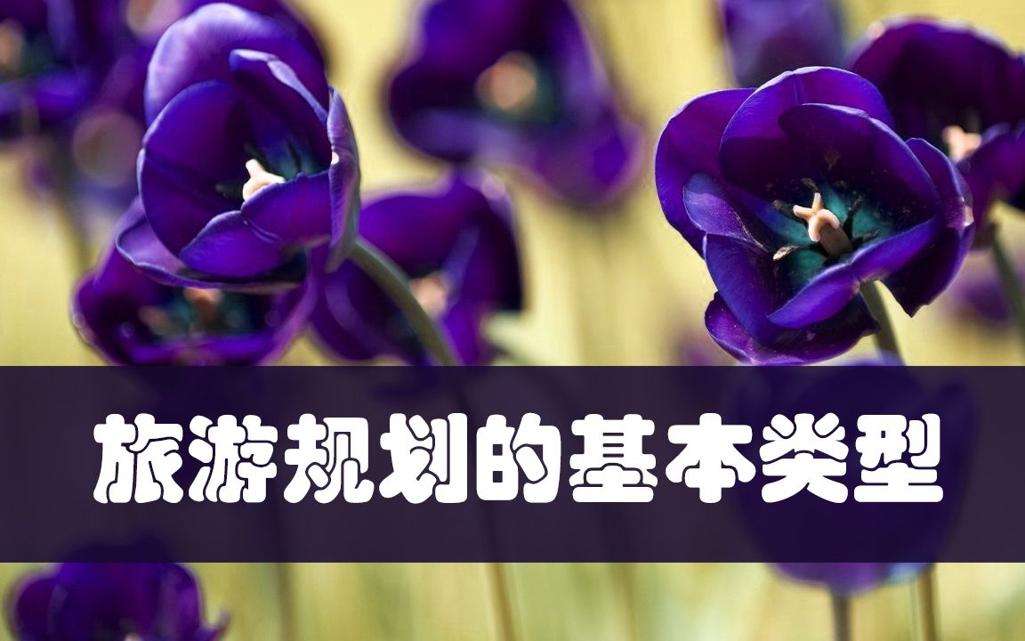 旅游规划的基本类型