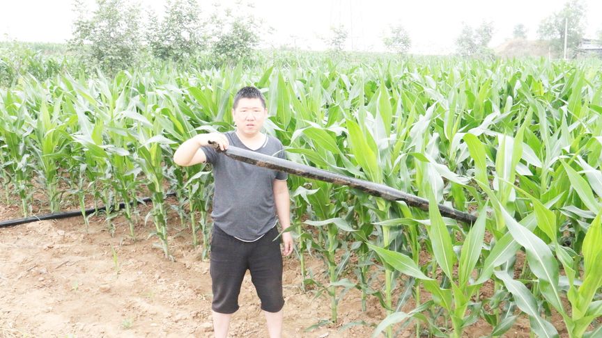 粮食每年都能丰收,多亏地里面的几根黑管子,原来作用这么大