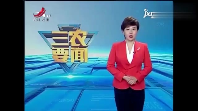 省农业农村厅组织收看:解读十九届六中全会精神新闻发布会直播