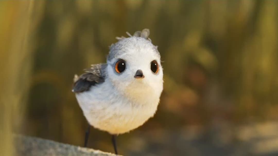 高清完整(片尾彩蛋)动画短片《鹬》