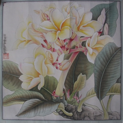 盛隆ysl 