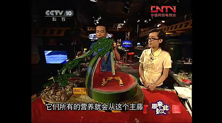 【模型师老原儿】宁老师早期作品3 -吃西瓜的学问