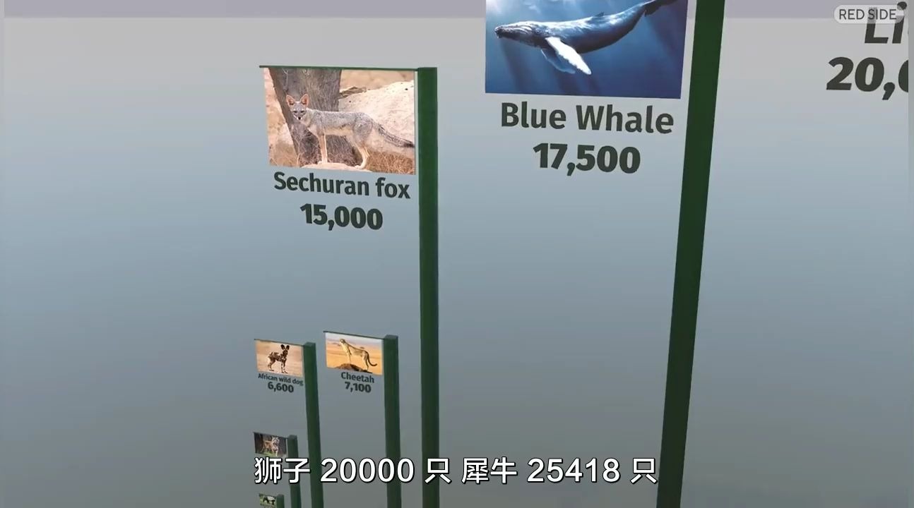 地球生物种群数量比较 ,全世界只剩下 3890 只虎了