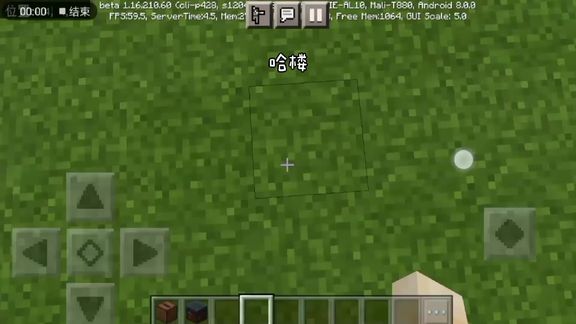 我的世界那些奇葩行为:1