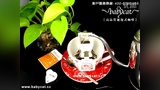 如何冲泡babycat滤泡式挂耳式咖啡