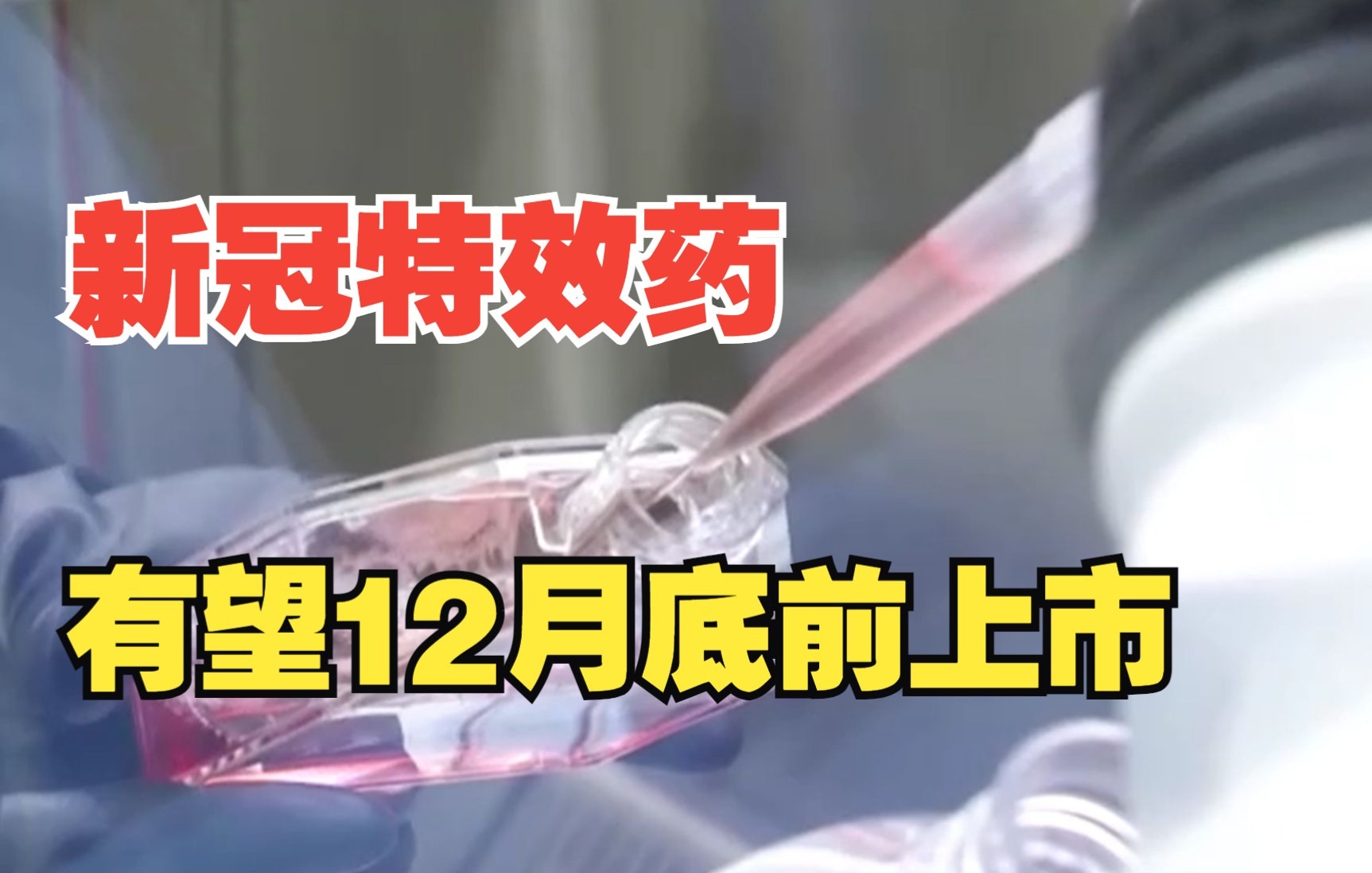 中国新冠特效药有望12月底前获批上市