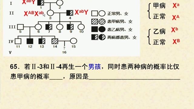 高中生物一轮复习——伴性遗传习题讲解(二)