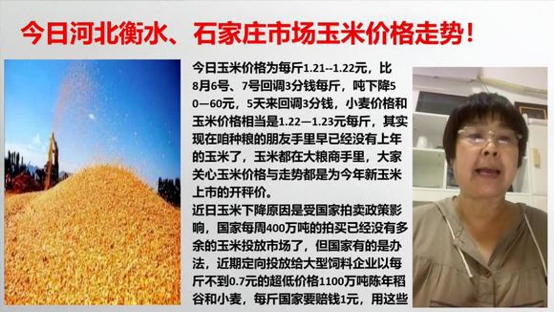 今日玉米价 1100万吨稻谷小麦不到7毛导致玉米下跌 粮食价格