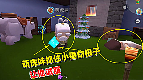 荒岛求生128:萌虎妹前来救援,抓住小墨的命根子,让他诚服