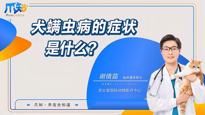 犬螨虫病的症状是什么?