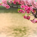 喜欢晨练de百里流光 