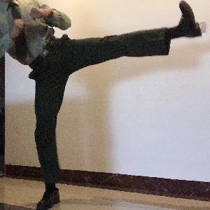 沃尔格先生 