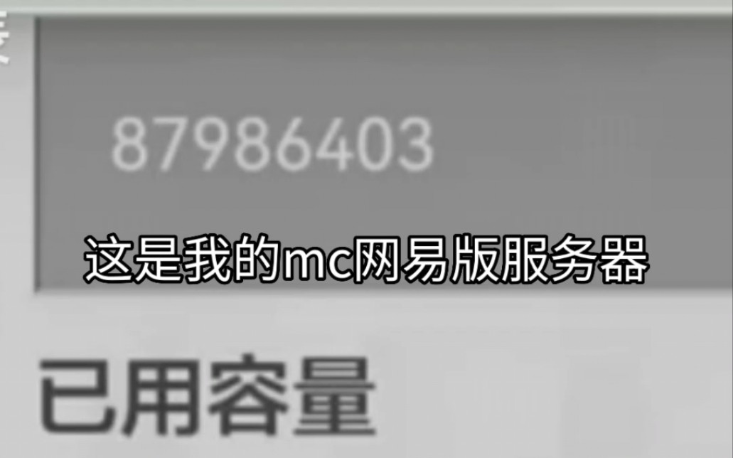 这是我的mc网易版服务器