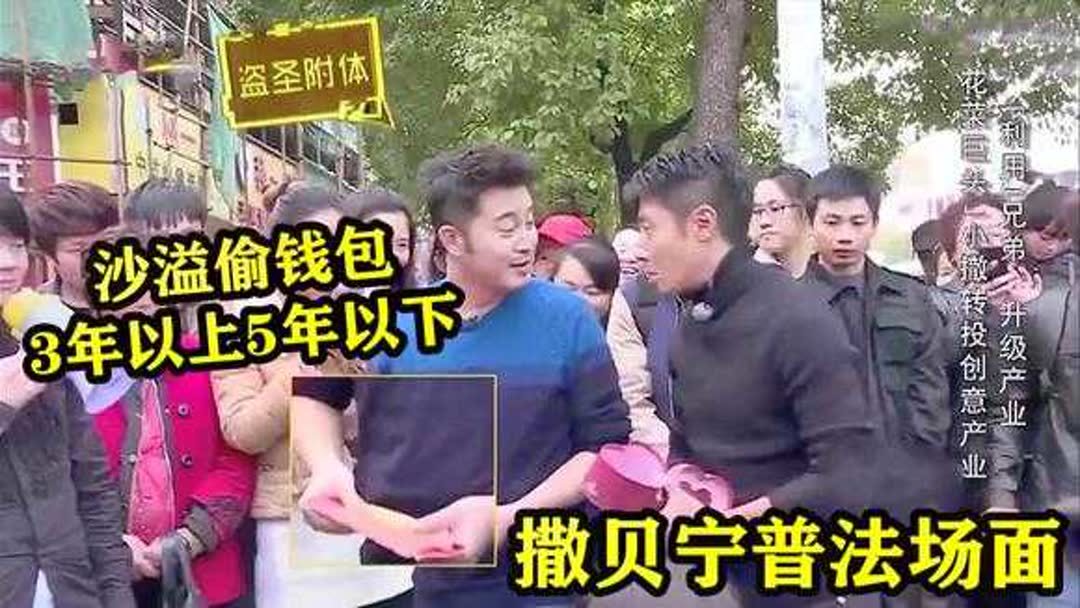 撒贝宁科普法律常识:沙溢盗圣附体偷钱包,撒贝宁立刻今日说法