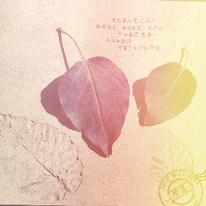 等风等雨依然等你 