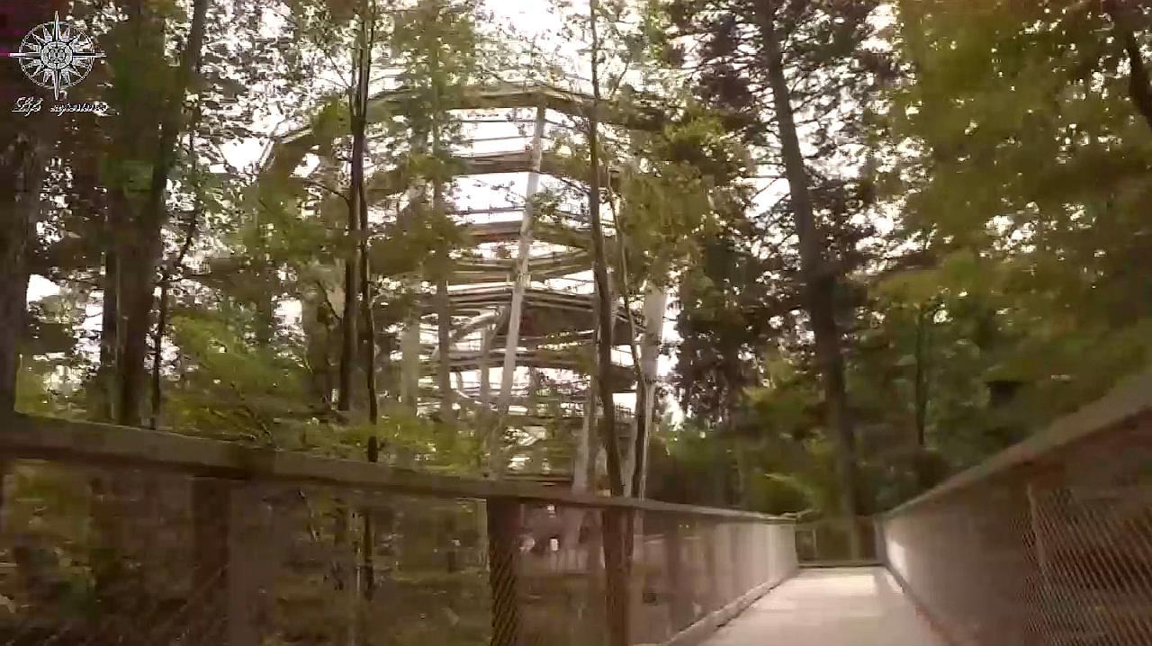 漫步云端!离蓝天最近的空中步道,感受唯美德国黑森林浴