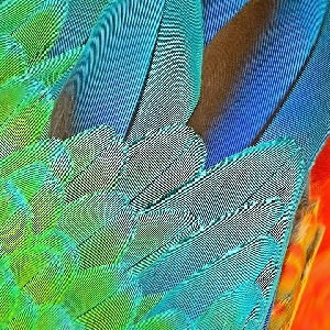 没完没了就是我 