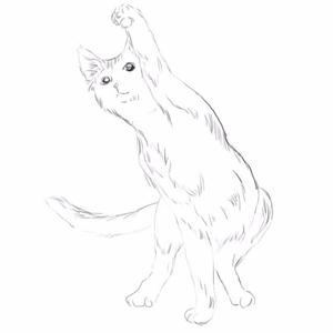 自学手绘的应达布 