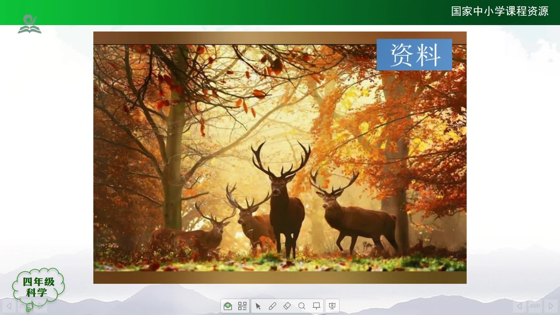 我国的珍稀动物
