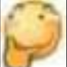 被鸽传染的千里之外 