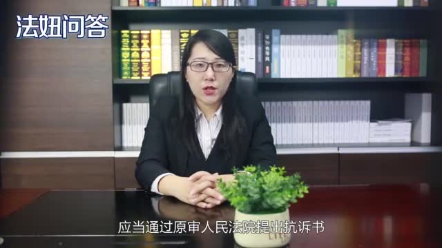 刑事案件的再审向哪一级法院抗诉