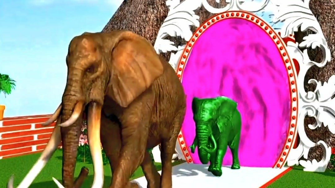 动物动漫 各种鸟类动物穿过魔幻镜变成野生动物