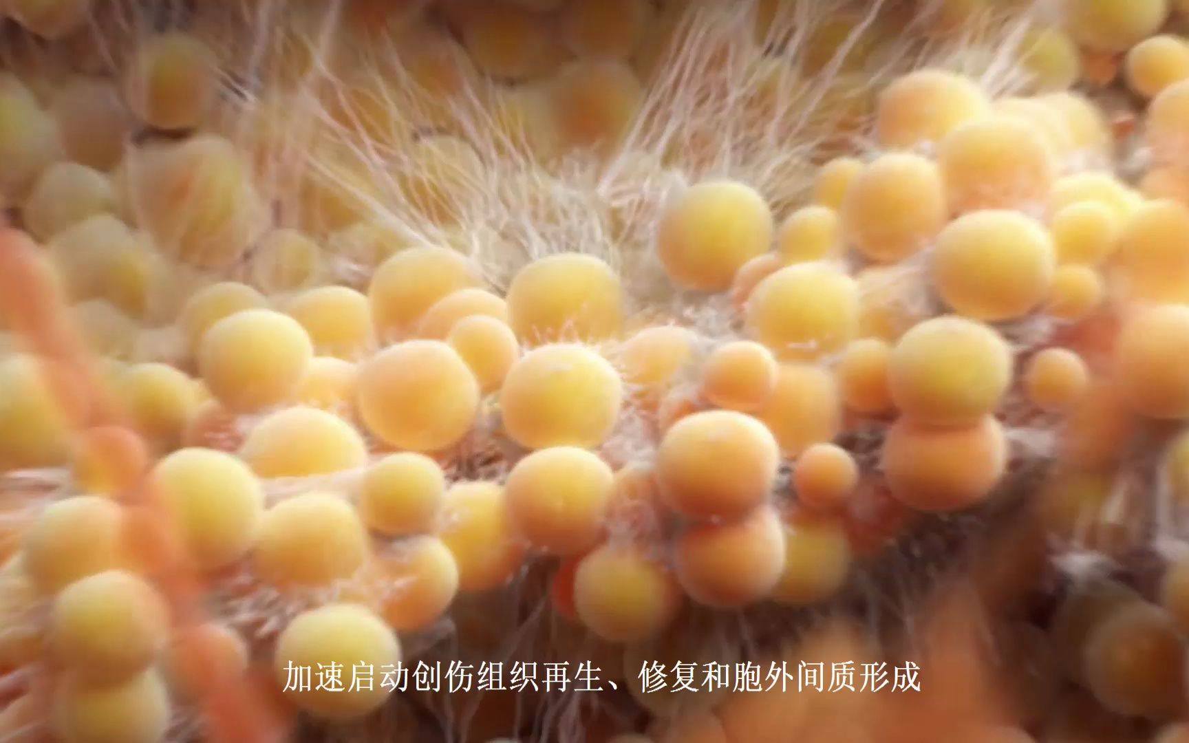 皮肤凹坑疤痕的救星——人表皮生长因子EGF