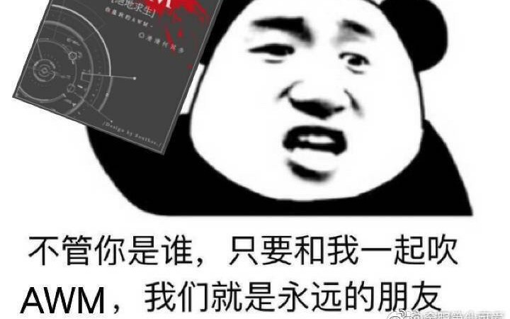 [AWM绝地求生]漫漫何其多|表情包特辑