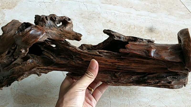 百年香樟树掉下来的朽木,看朽木星如何加工之保养效果