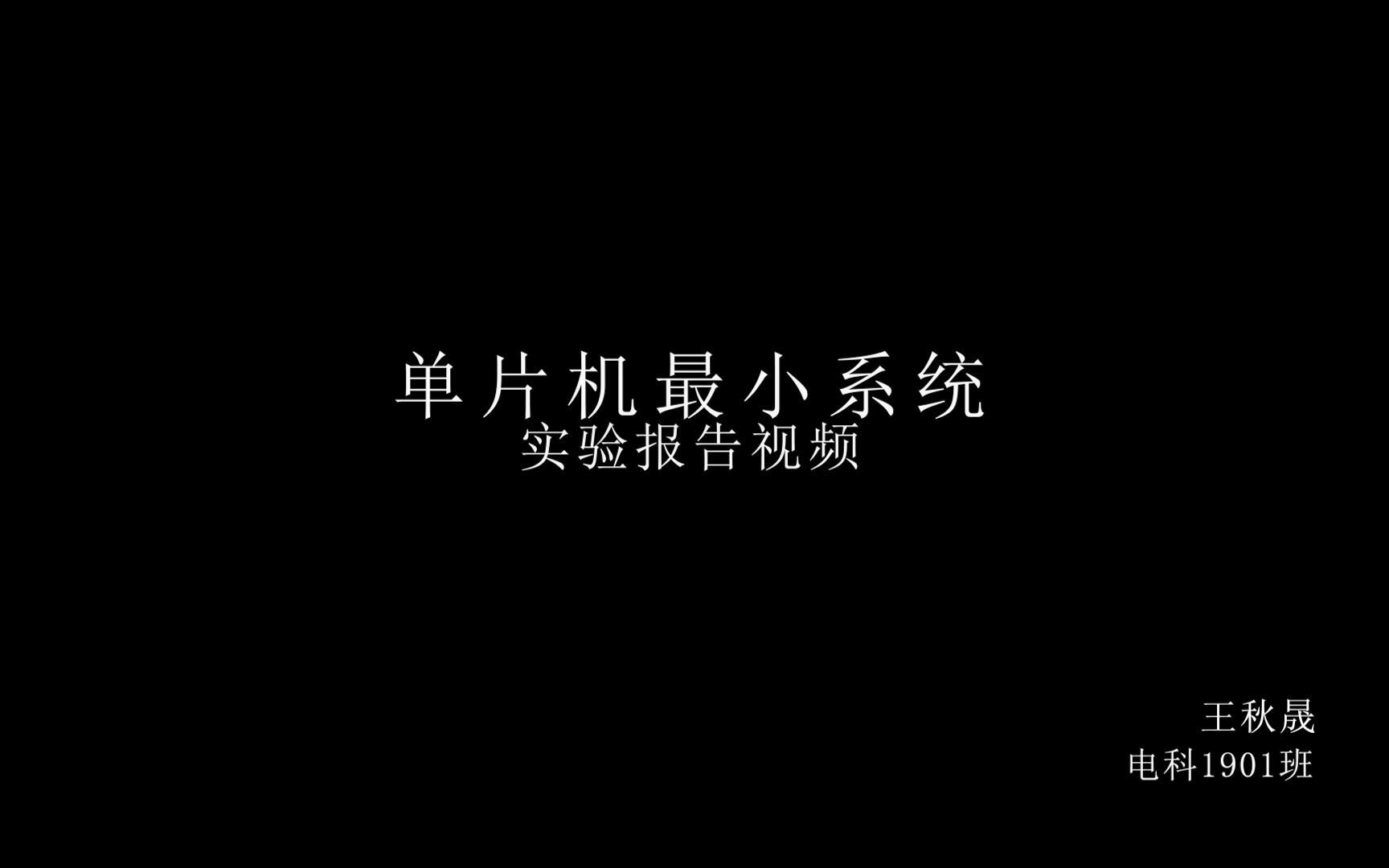 单片机最小系统 视频实验报告