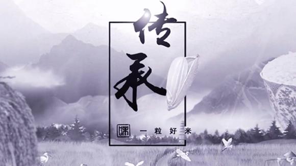 生活抱稻品牌宣传片