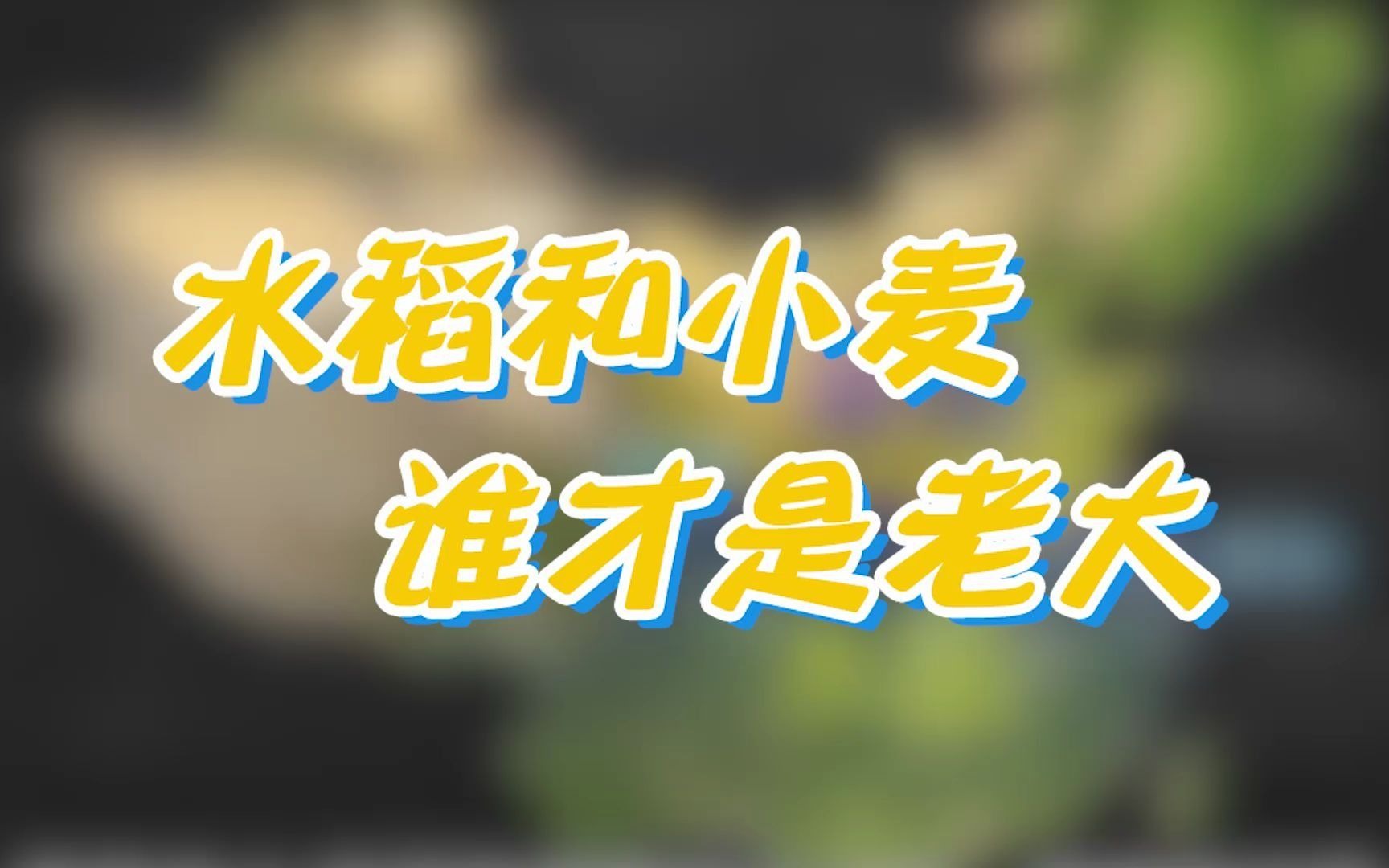 PK赛!水稻和小麦谁才是老大