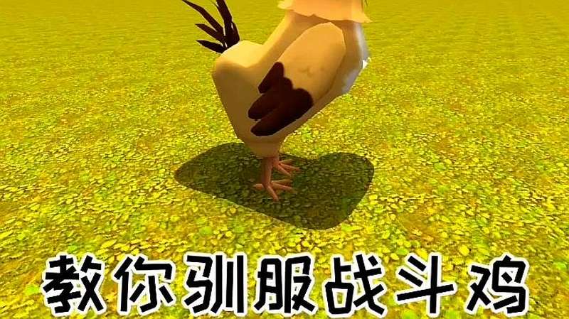 迷你世界:战斗鸡也能驯服?快来看看他是怎么做到的吧