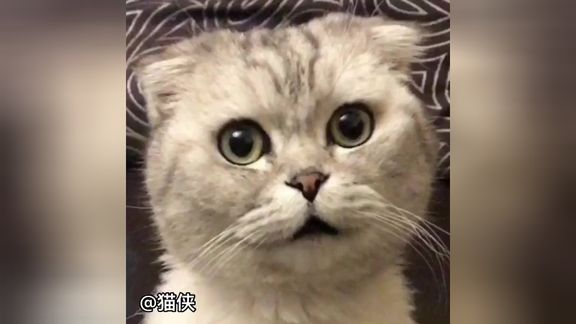 画面太美我不敢看照片已上传至