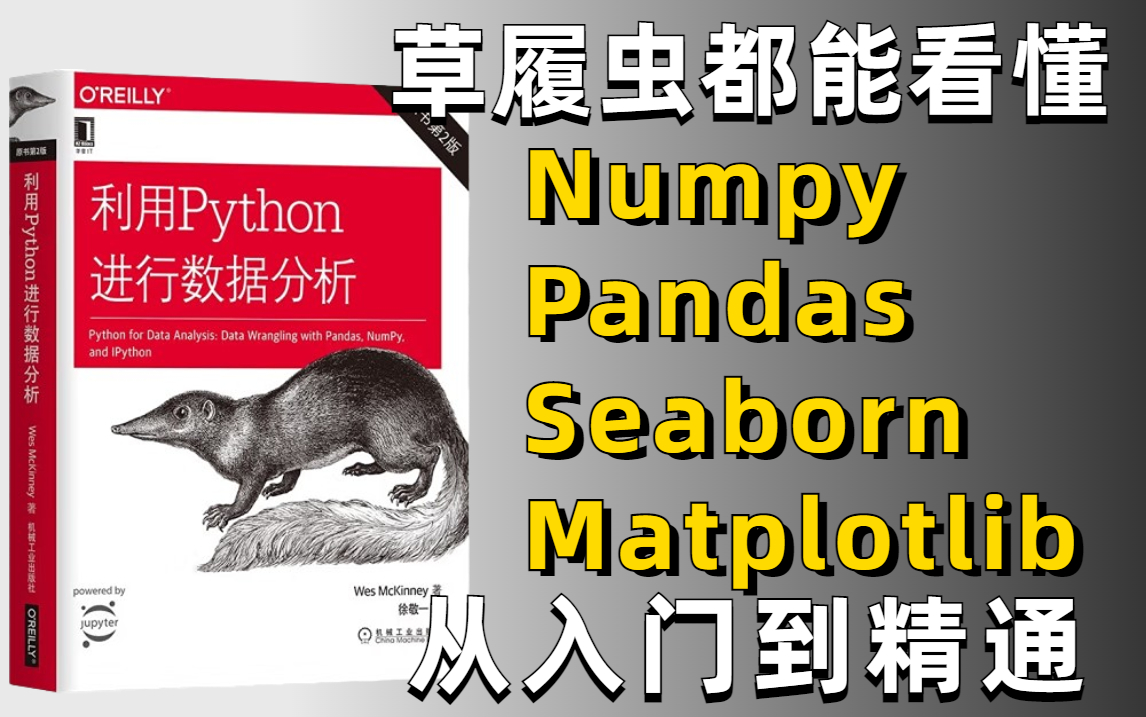 最简单!这可能是我在B站看过最全的【人工智能基础-python数据分析】...