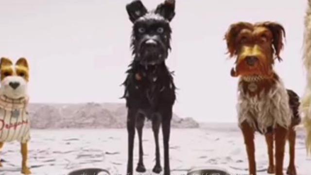 一部动画电影,带给我们不一样的反思,通过可爱的狗狗反思自己