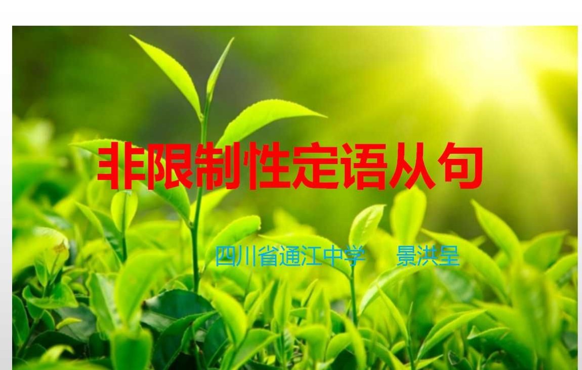 非限制性定语从句
