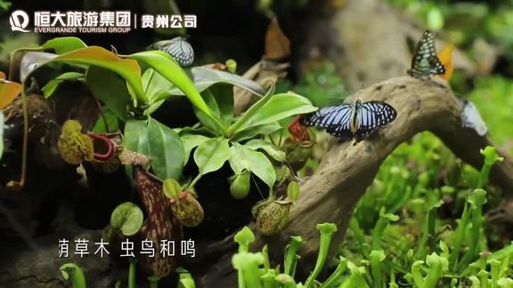 #城市规划 #城市规划 #房产 #网红景区 #文化旅游 #企业宣传片