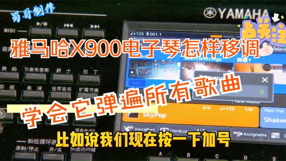 雅马哈X900电子琴移调功能的详细讲解,掌握它弹遍所有的调