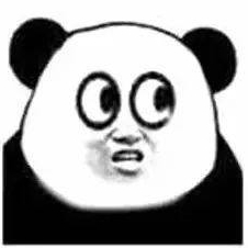 一个狗的夜 
