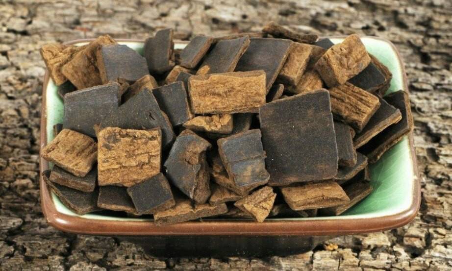 农村有一种常见的树皮,对腰间盘突出效果很好,很多人还不知道