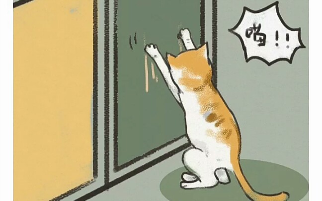 垃圾分类后,一只流浪猫的自述…