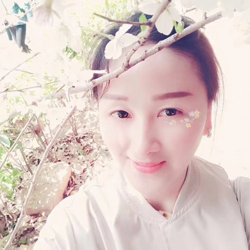 武汉小刘会计 
