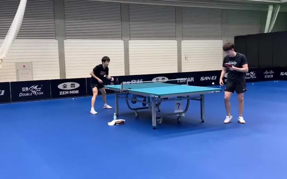 樊振东 林高远 王楚钦 训练视角