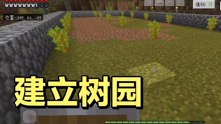 我的世界单人生存:34集中种树,建立树园