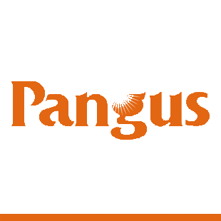 pangusims 