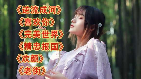 《逆流成河》《喜欢你》《完美世界》《精忠报国》《欢颜》《老街